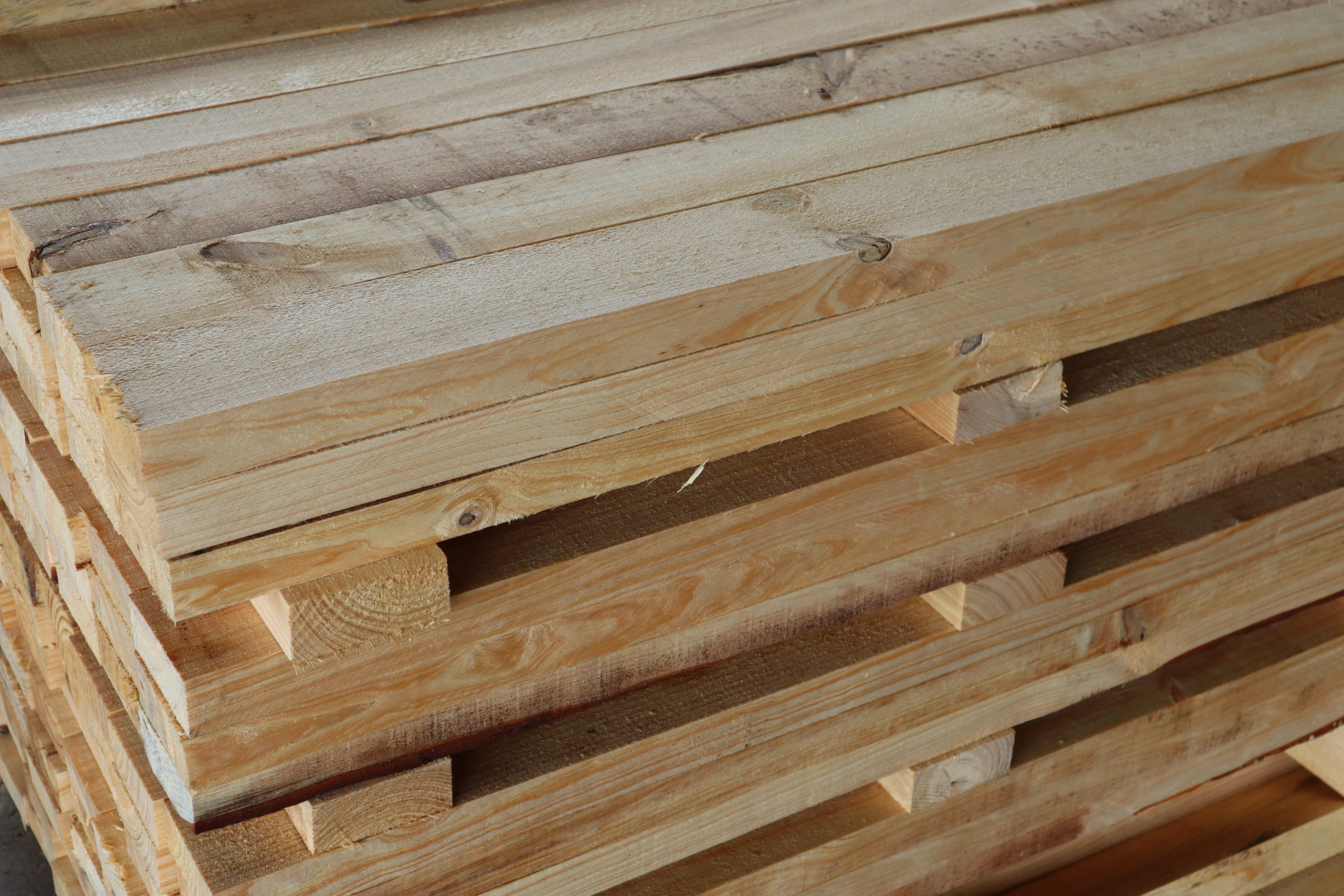 Kit de Pallets - Corporación Business & Development CA